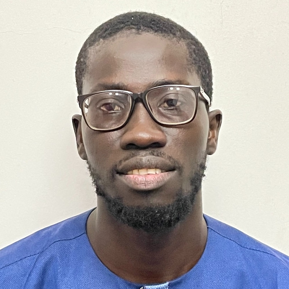 Thierno Ibrahima Diop - Developer in Dakar, Dakar Region, Senegal | Toptal®
