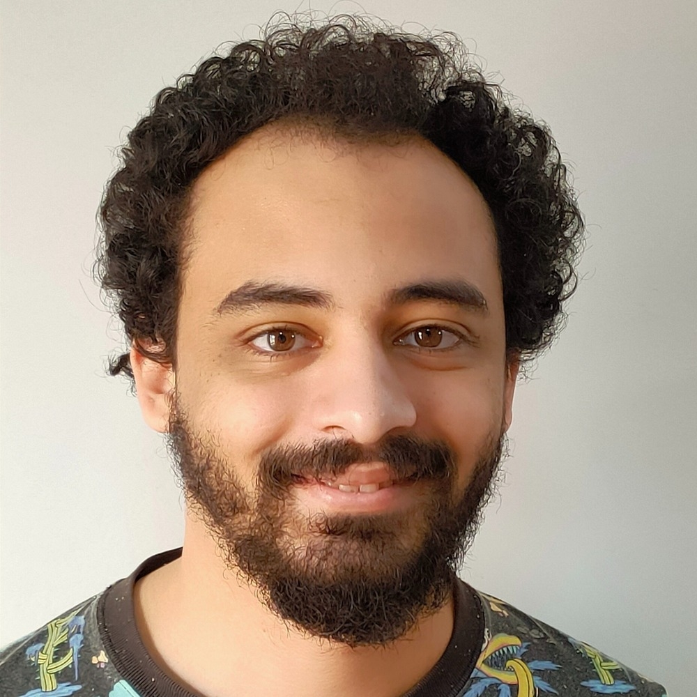 Aly Ameen Rizk - Developer in Giza, Egypt | Toptal®